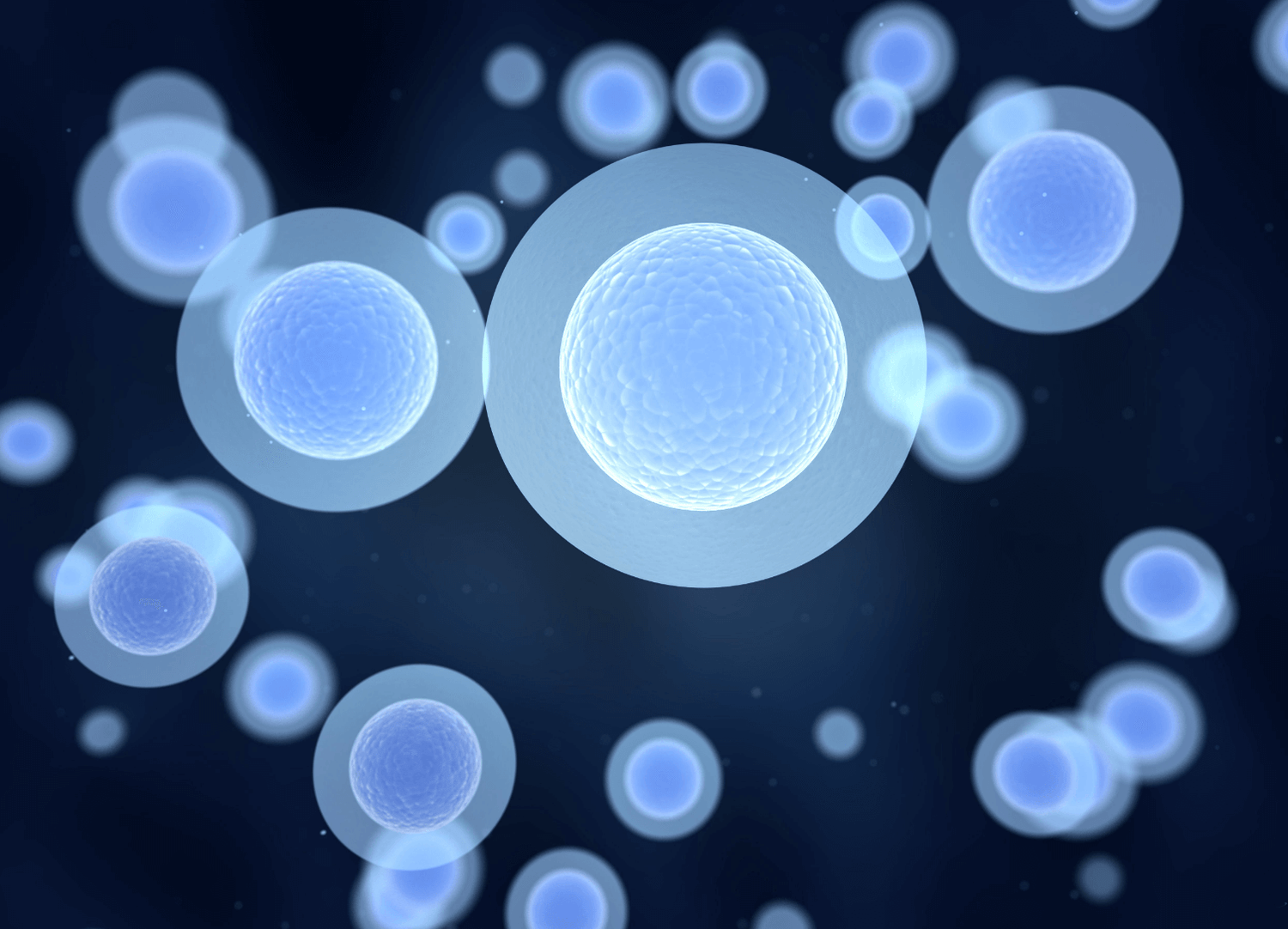 What Is Cellular Health And Why Is It Important? – NADdirect